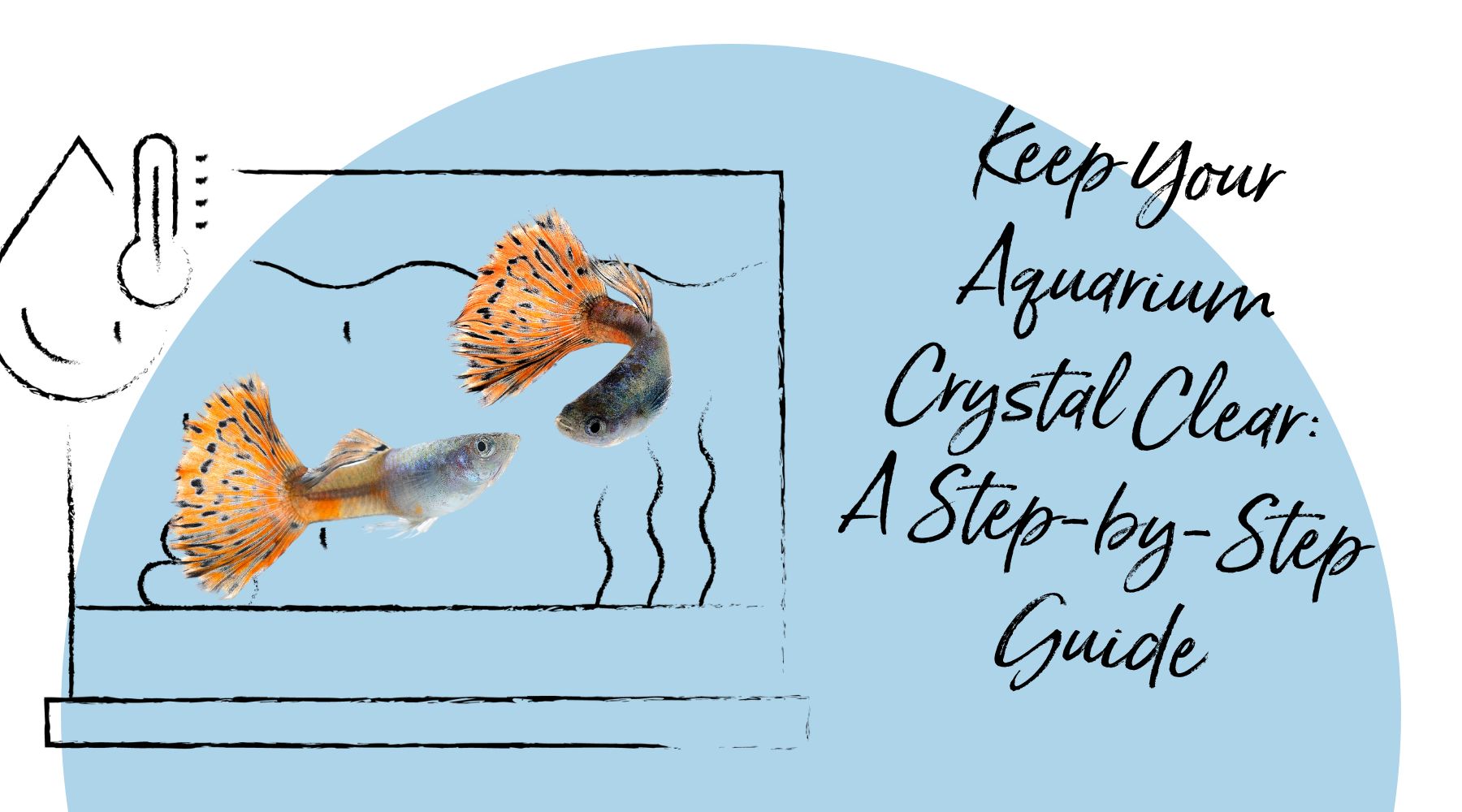 Keep Your Aquarium Crystal Clear: A Step-by-Step Guide – Kiwi Petz