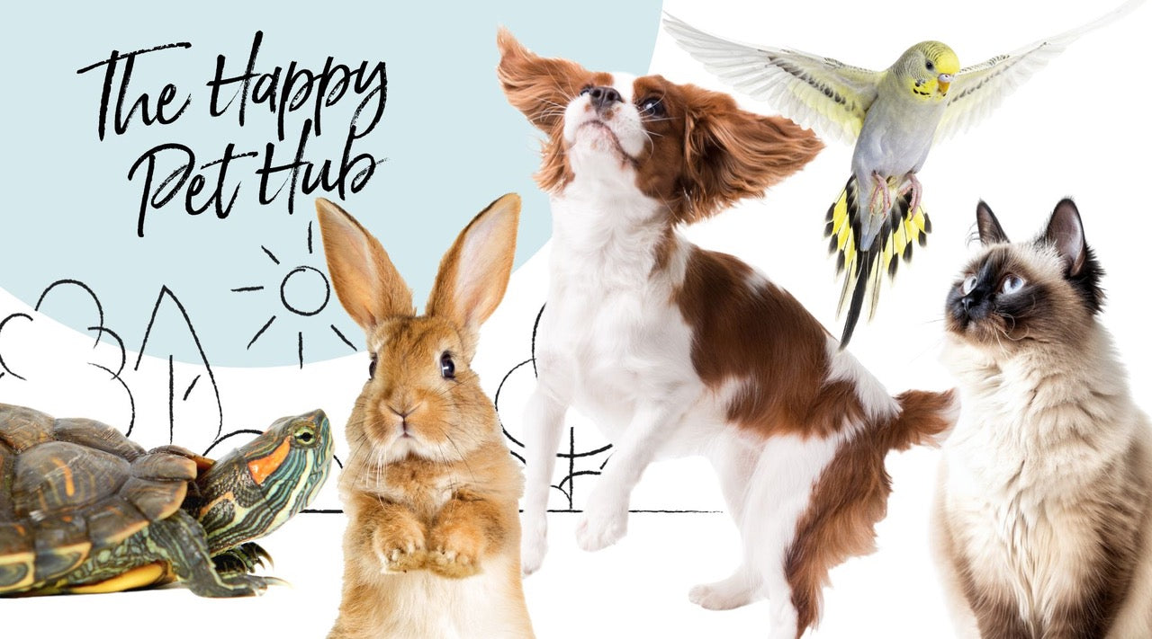 The Happy Pet Hub – Kiwi Petz