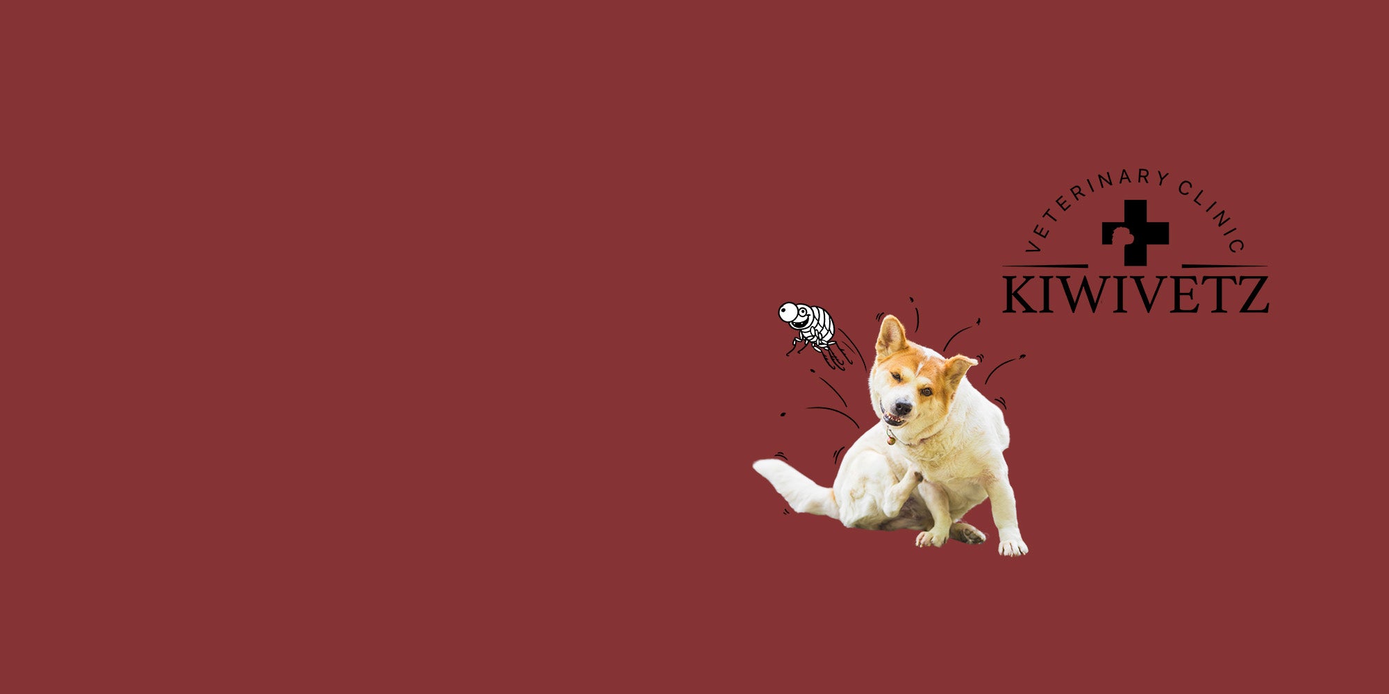 The Vet Pharmacy - your online vet store visit Kiwipetz – Kiwi Petz